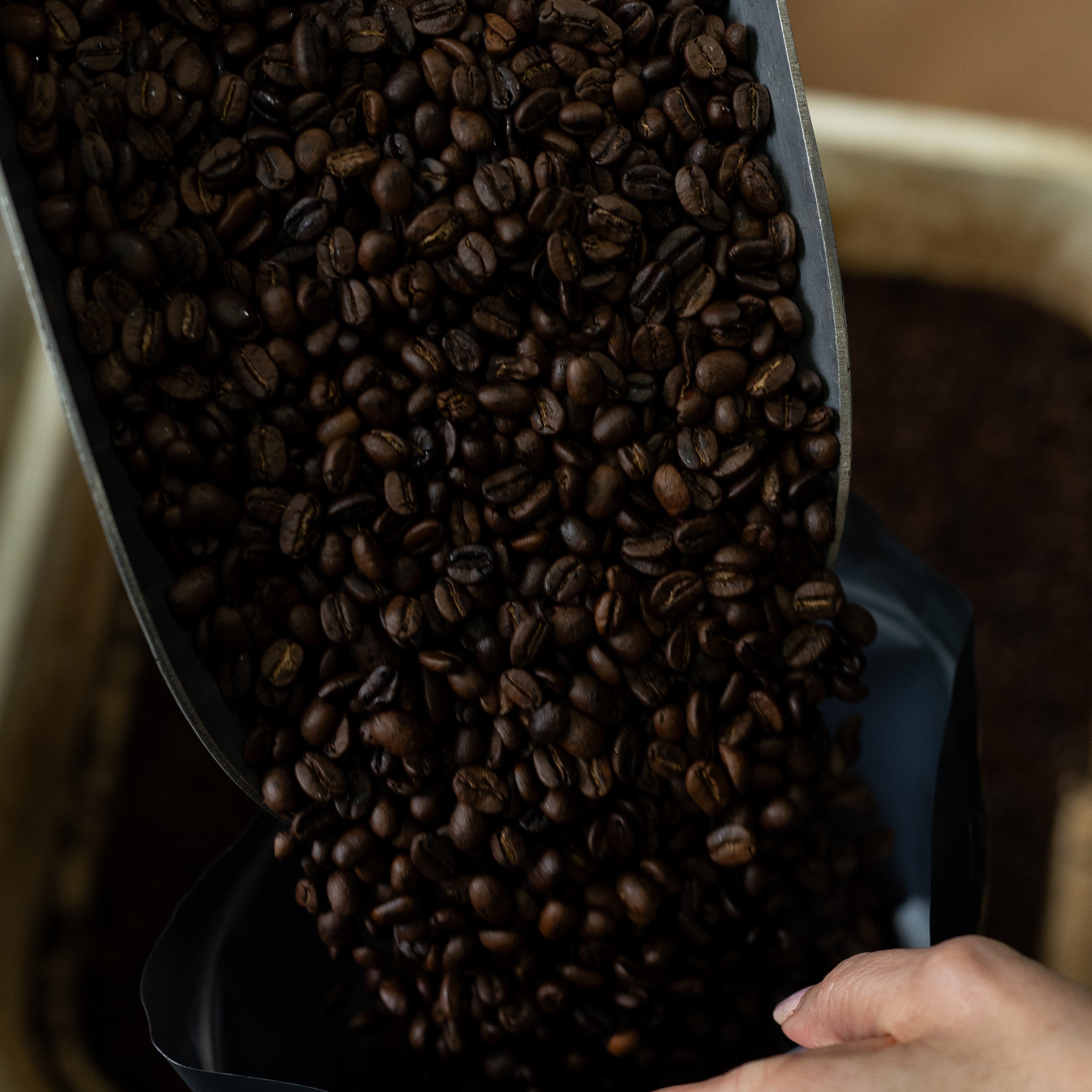Exploring the Global Coffee Market: Trends and Forecasts for 2026 ...